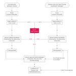 Handlungsempfehlungen für ZVK Anlagen der ASA